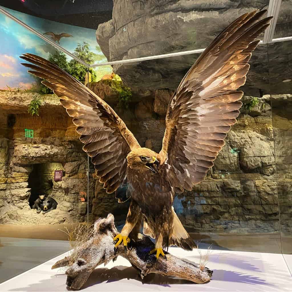 15 Best Things To Do In Decatur (AL) - The Crazy Tourist