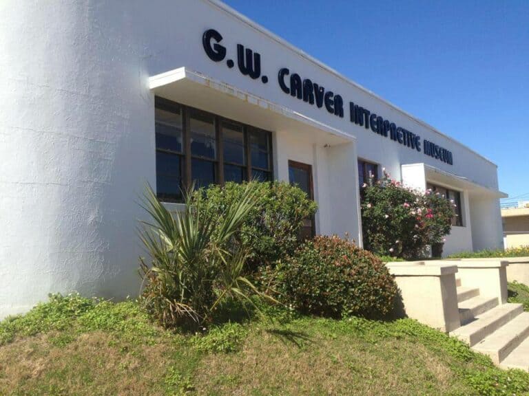 25 Best Things to Do in Dothan (AL) - The Crazy Tourist