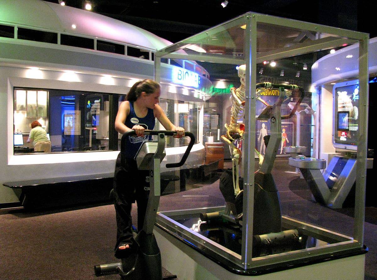 25 meilleures choses à faire à Mobile (AL) | Volta