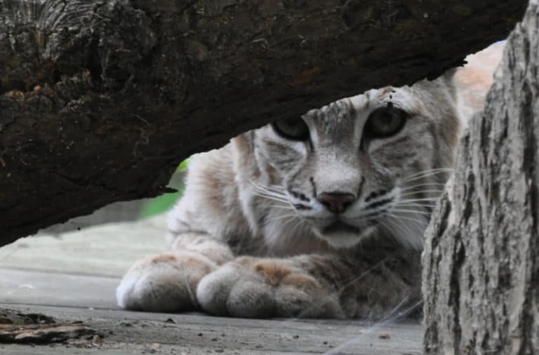 25 Best Things to Do in Saskatoon - The Crazy Tourist