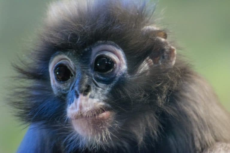 25 Best Things to Do in Philadelphia (PA) - The Crazy Tourist