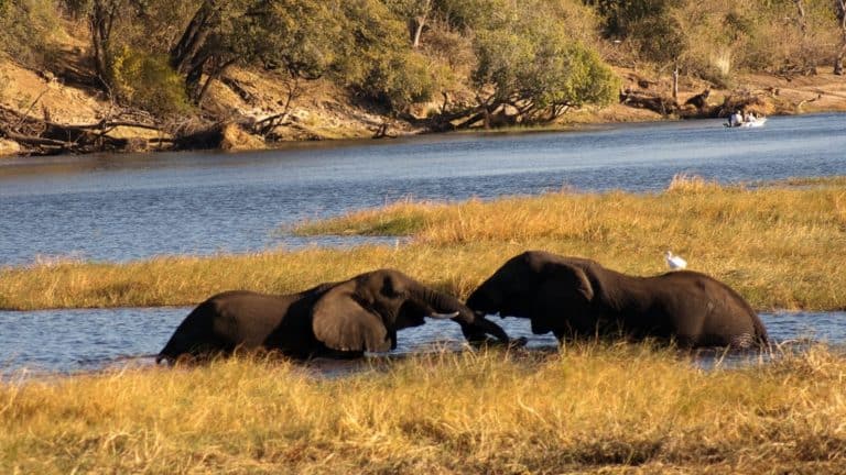 15 Best Places to Visit in Botswana - The Crazy Tourist