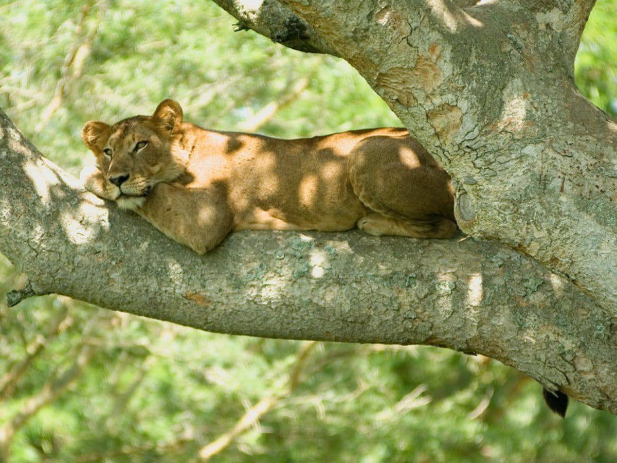 15 Best Places to Visit in Cameroon - The Crazy Tourist