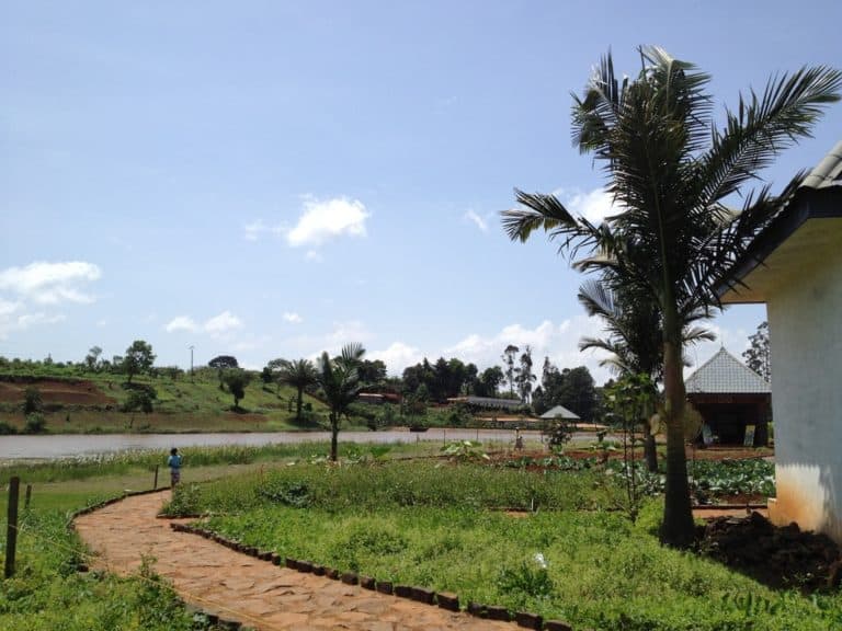 15 Best Places to Visit in Cameroon - The Crazy Tourist