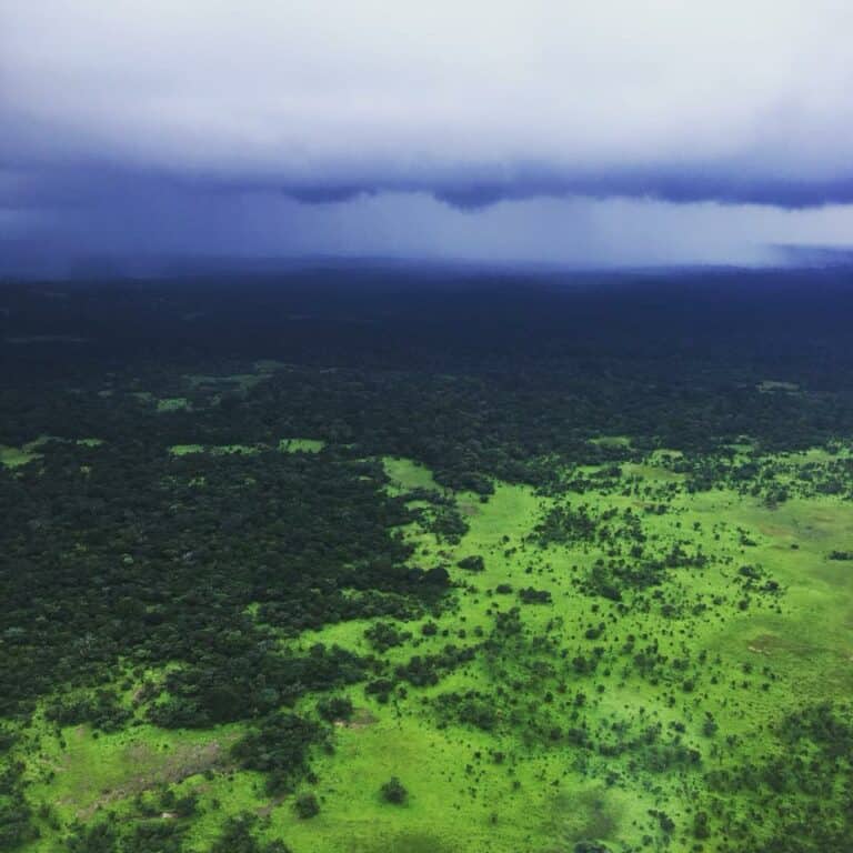 15 Best Places to Visit in Central African Republic - The Crazy Tourist