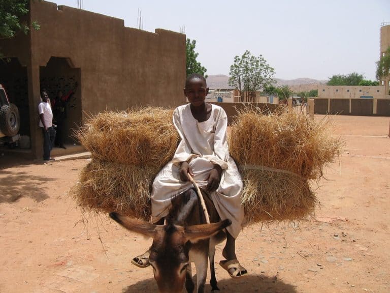 14 Best Places to Visit in Chad - The Crazy Tourist