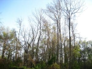 15 Best Things to Do in Edison (NJ) - The Crazy Tourist