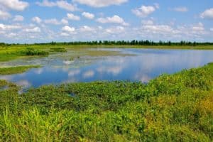 15 Best Things To Do In Lakeland (FL) - The Crazy Tourist