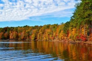 15 Best Things to Do in Durham (NC) - The Crazy Tourist