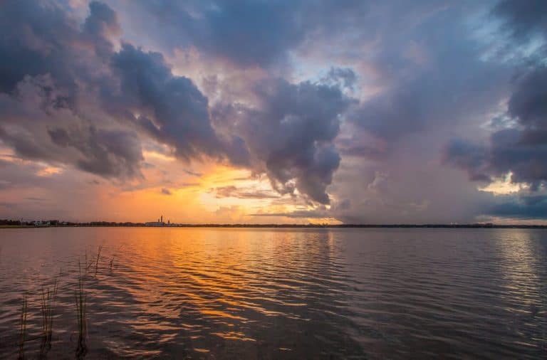 15 Best Things To Do In Lakeland (FL) - The Crazy Tourist