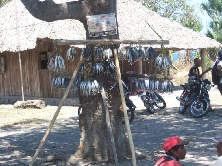 15 Best Places to Visit in East Timor (Timor-Leste) - The Crazy Tourist