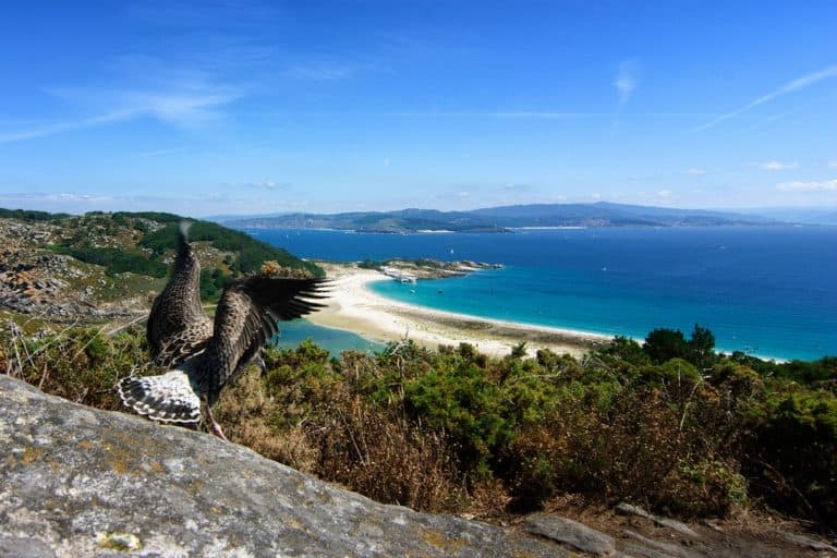 15 Best Things to Do in Vigo (Spain) - The Crazy Tourist