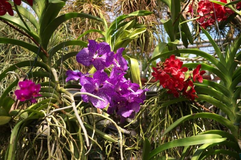 15 Best Things to Do in Linz (Austria) - The Crazy Tourist