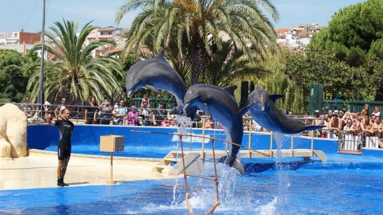 15 Best Things to Do In Malgrat de Mar (Spain) - The Crazy Tourist
