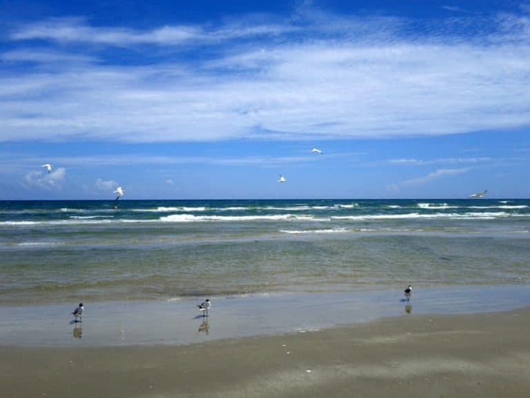 15 Best Beaches in Texas - The Crazy Tourist