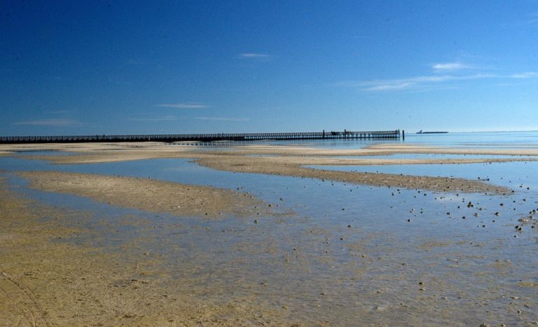 15 Best Beaches in Texas - The Crazy Tourist