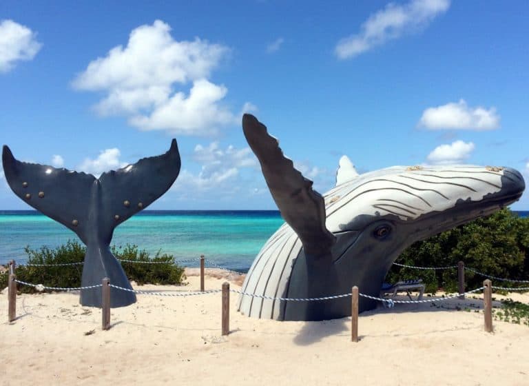 15 Best Things to Do in Turks and Caicos - The Crazy Tourist