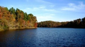 15 Best Swimming Holes in Arkansas - The Crazy Tourist
