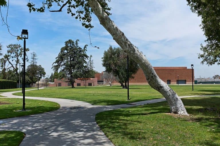 15 Best Things to Do in Norwalk (CA) - The Crazy Tourist