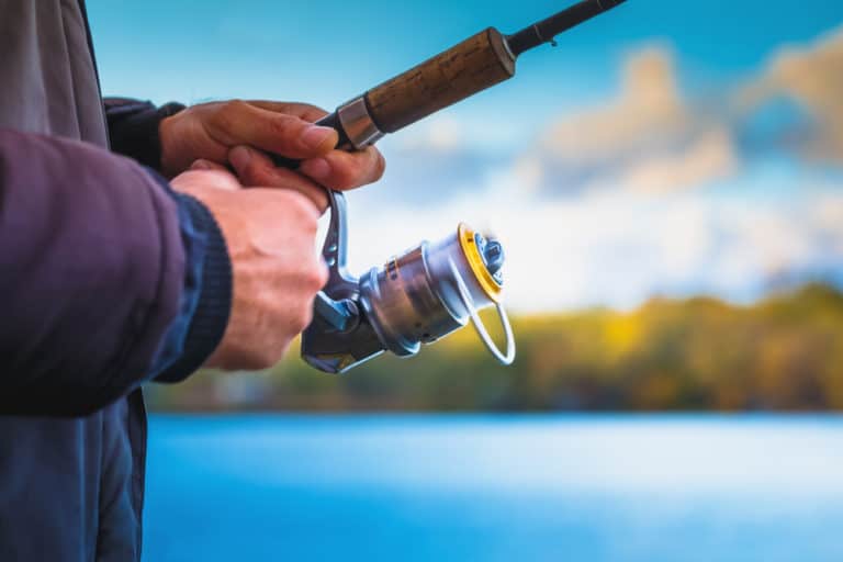 15 Best Lakes in Illinois - The Crazy Tourist