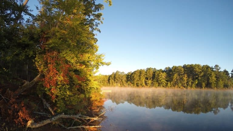 15 Best Lakes in Georgia - The Crazy Tourist