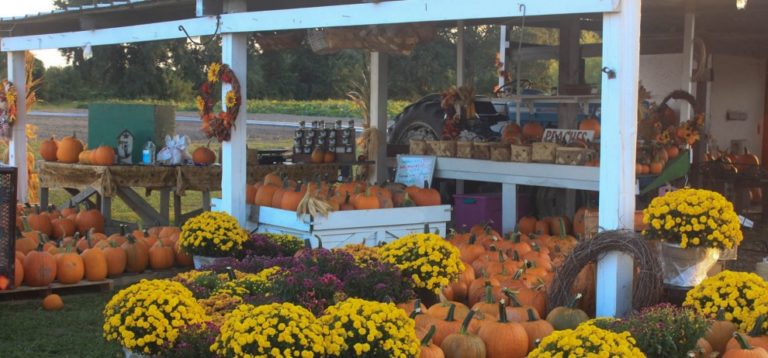 15 Best Things To Do In Chesapeake (VA) - The Crazy Tourist