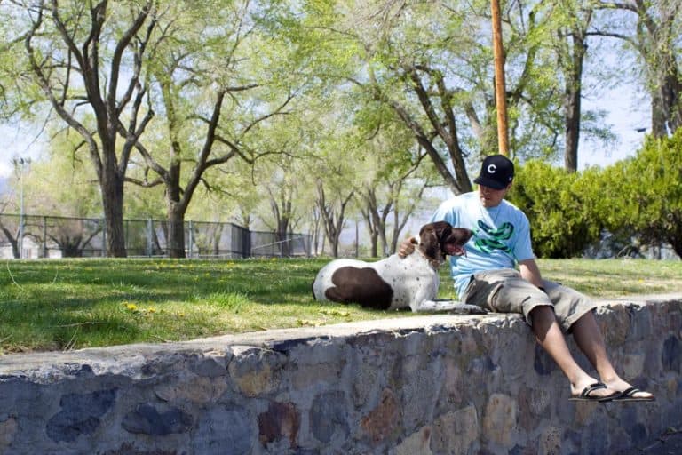 15 Best Things to Do in Reno (Nevada) - The Crazy Tourist