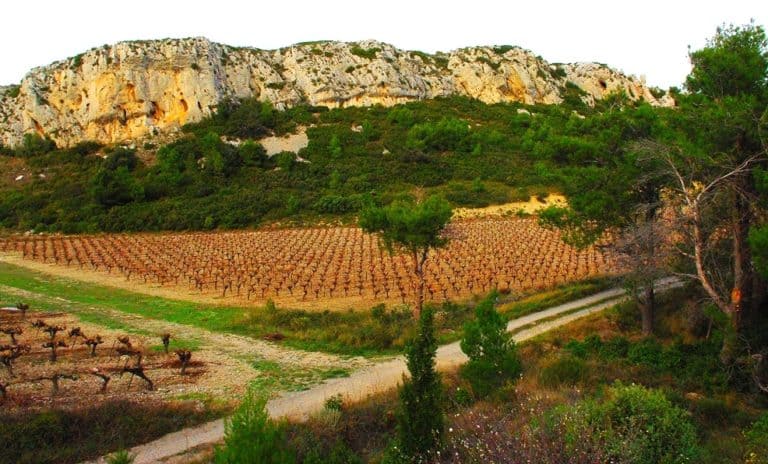 15 Best Things to Do in Narbonne (France) - The Crazy Tourist