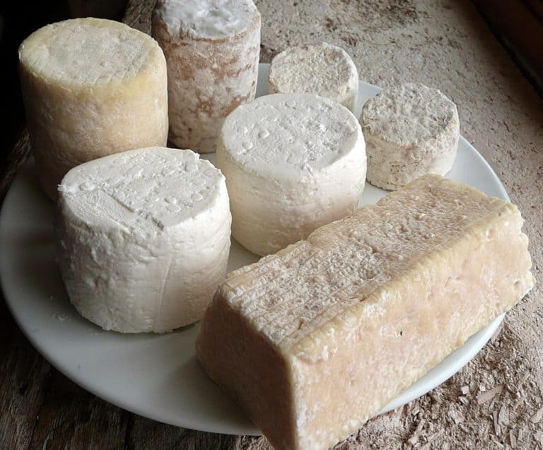 15 Best Things to Do in Mâcon (France) - The Crazy Tourist