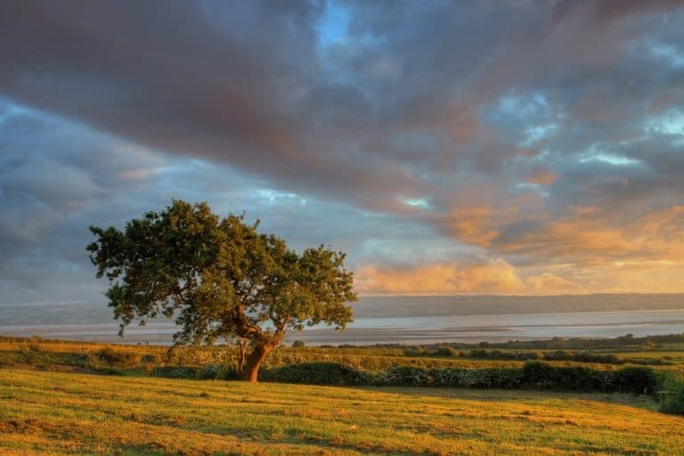 15 Best Places to Visit in Merseyside - The Crazy Tourist