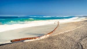 15 Best Things to Do in Perpignan (France) - The Crazy Tourist