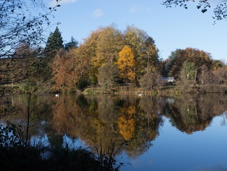 15 Best Places to Visit in Surrey (England) - The Crazy Tourist