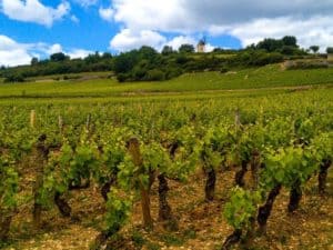 15 Best Things to Do in Burgundy - The Crazy Tourist