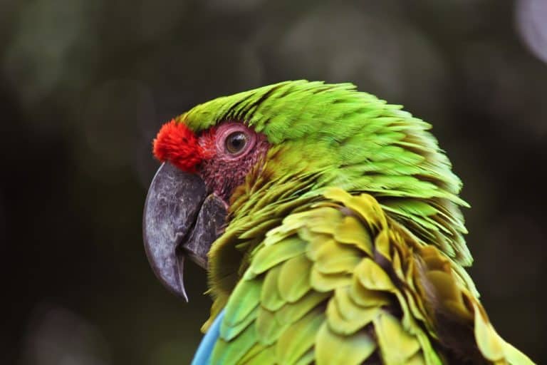 15 Best Things to Do in Amarillo (TX) - The Crazy Tourist