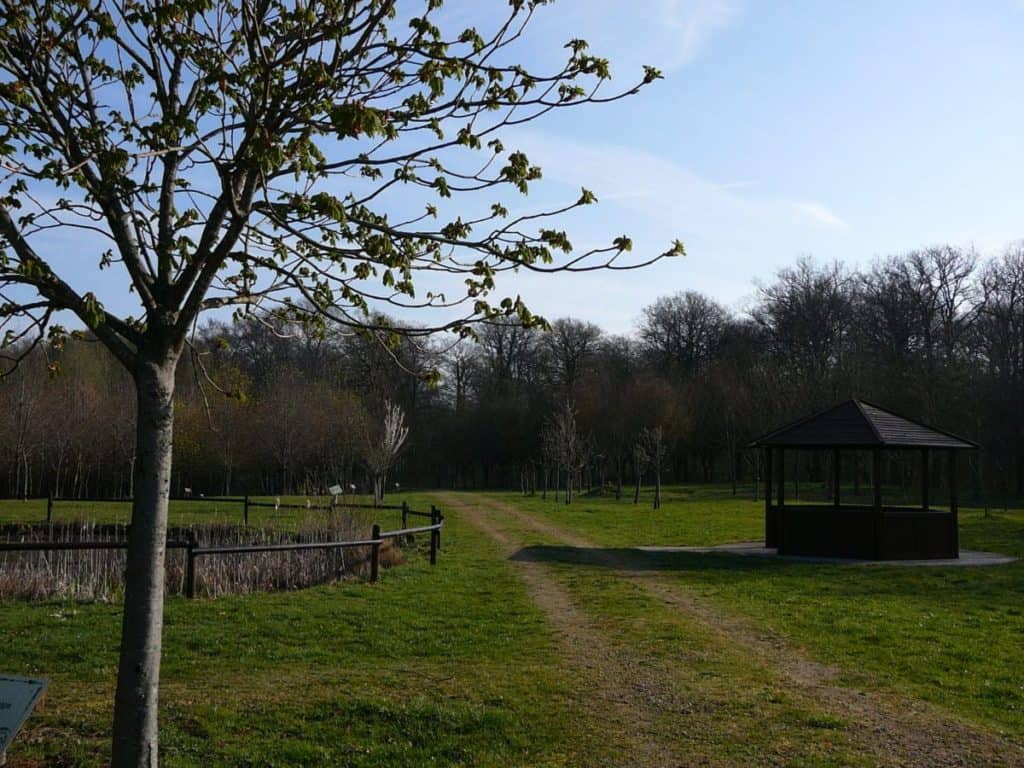 15 Best Things to Do in Arlon (Belgium) - The Crazy Tourist