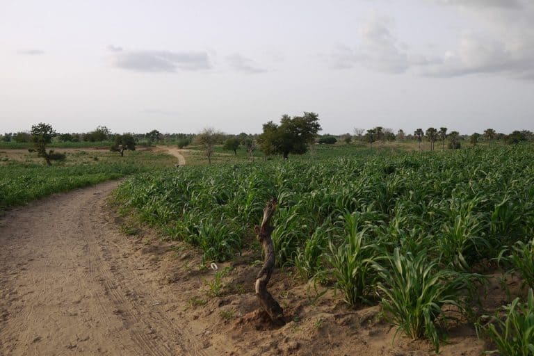 15 Best Places to Visit in Niger - The Crazy Tourist