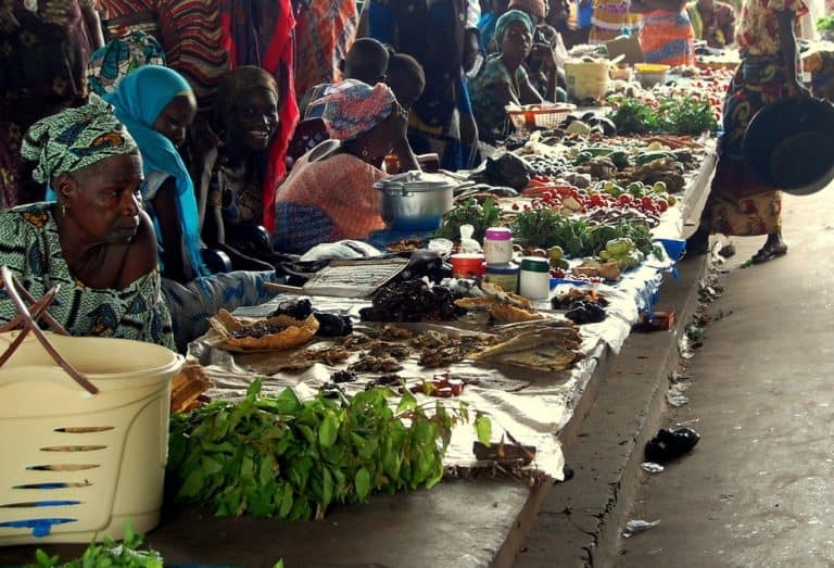 15 Best Places to Visit in Senegal - The Crazy Tourist