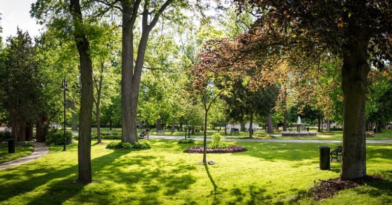 15 Best Things to Do in Brampton (Ontario, Canada) - The Crazy Tourist