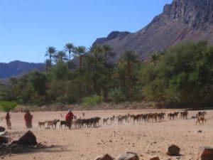 15 Best Places to Visit in Niger - The Crazy Tourist