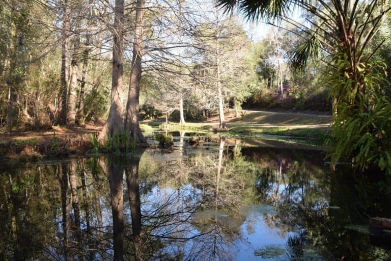 30 Amazing Hidden Gems in Florida - The Crazy Tourist