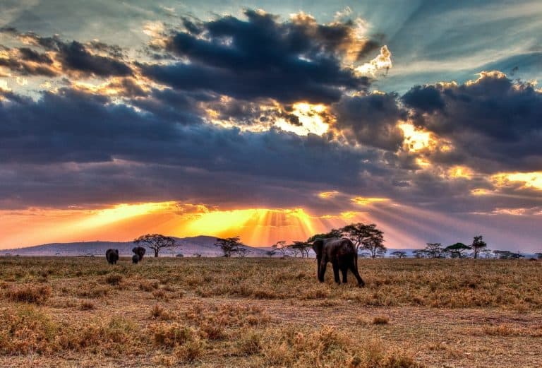 15 Best Places to Visit in Tanzania - The Crazy Tourist
