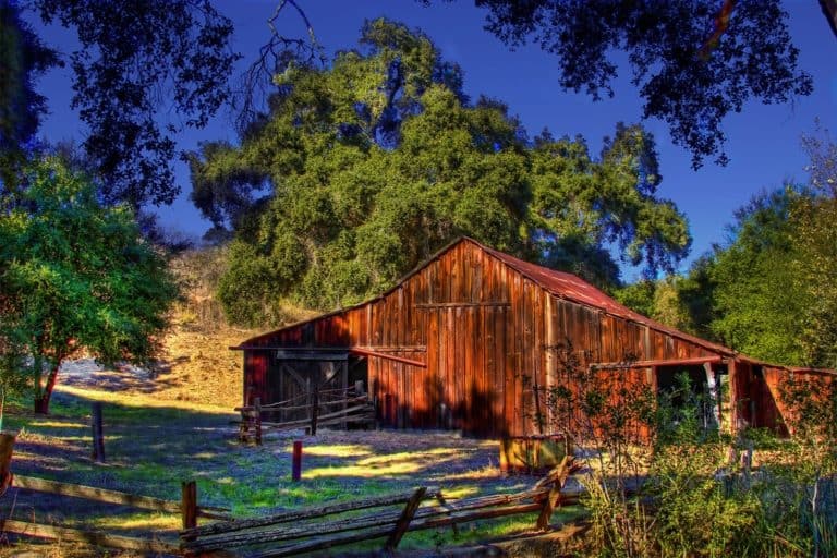 15 Best Things to Do in Escondido (CA) - The Crazy Tourist