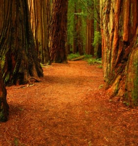 26 Amazing Hidden Gems in California - The Crazy Tourist