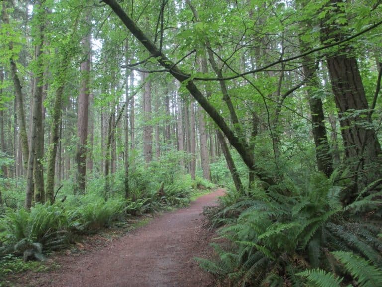 15 Best Things to Do in Surrey (Canada) - The Crazy Tourist