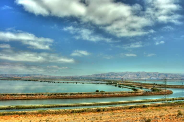 15 Best Things To Do In Sunnyvale (CA) - The Crazy Tourist