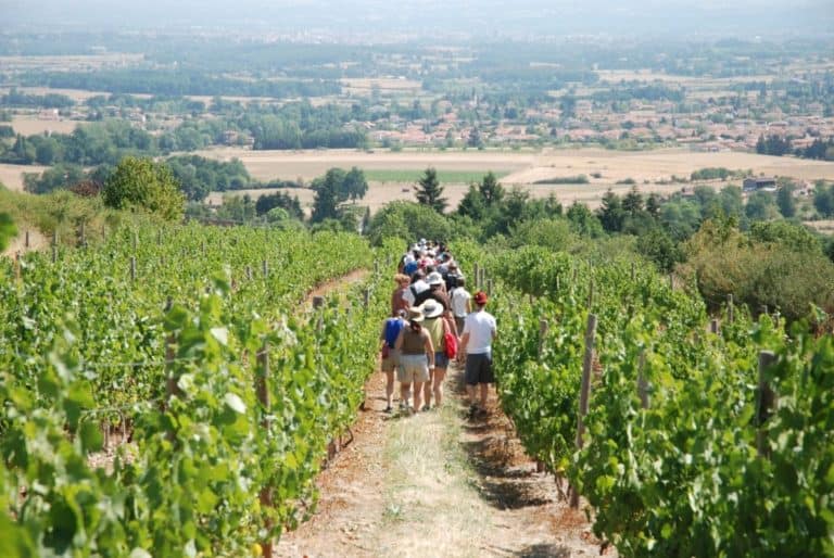 15 Best Things to Do in Roanne (France) - The Crazy Tourist