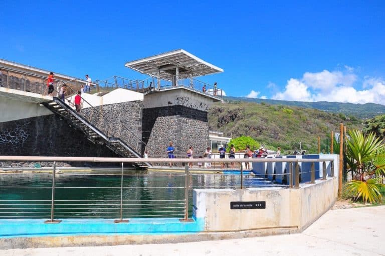 15 Best Things to Do in Le Port (Reunion, France) - The Crazy Tourist