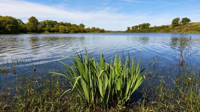 15 Best Things to Do in Cholet (France) - The Crazy Tourist