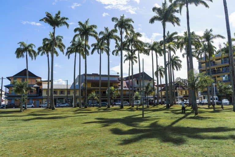 15 Best Things to Do in Cayenne (France) - The Crazy Tourist