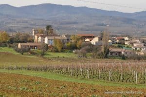 15 Best Things to Do in Villefranche-sur-Saône (France) - The Crazy Tourist